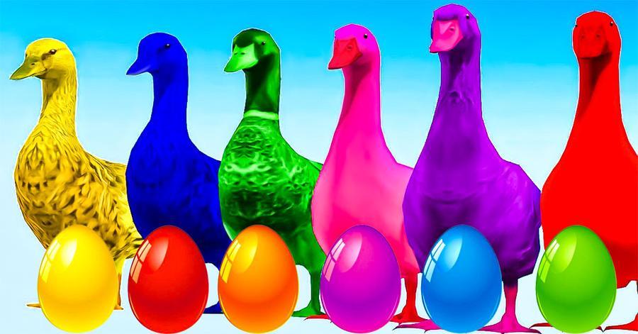 Do you like these colorful ducks? | Daily Free Kids Learning Quiz Games ...