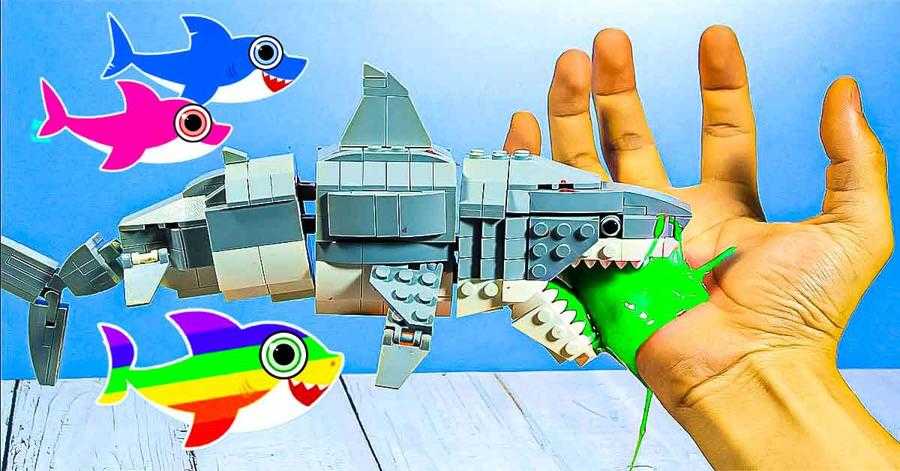 Lubisz te rekiny? | Codzienne darmowe gry quizowe dla dzieci | Zaufany ...