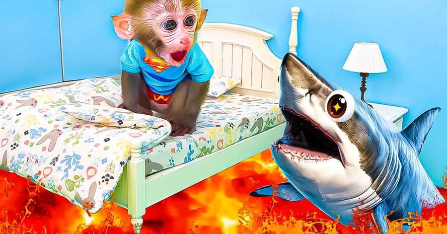 Find out where the sharks are! | Daily Free Kids Learning Quiz Games ...